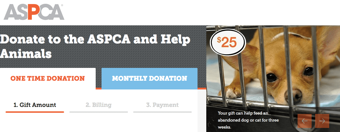 21 Elements to A/B Test on Your Donation Page