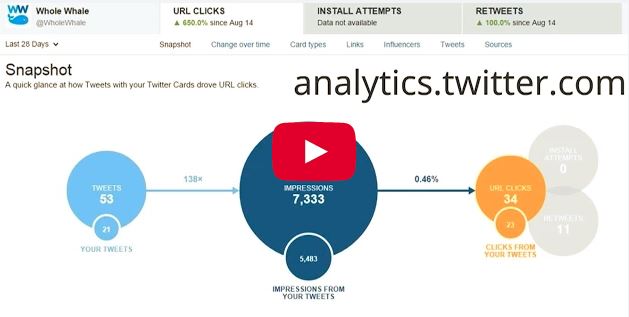 9 Most Common Twitter Questions